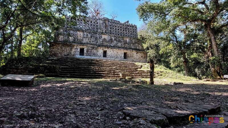 From Palenque: Yaxchilán and Bonampak Tour - Who Should Consider This Tour?