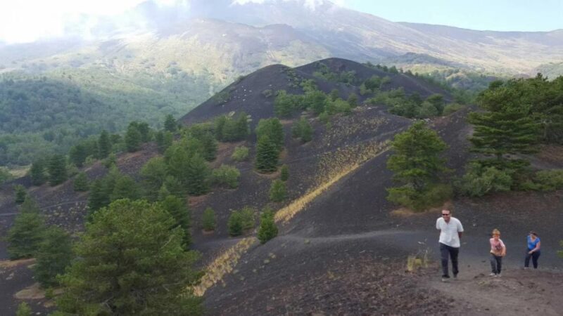From Palermo to Taormina: Mount Etna (Multi-Language Tour) - The Drive and First Stop
