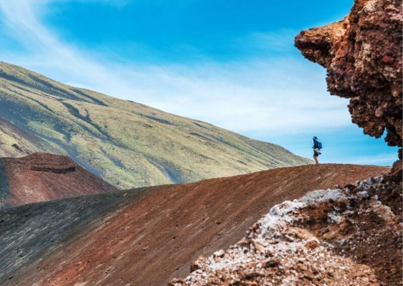 From Palermo to Taormina: Mount Etna (Multi-Language Tour) - Whats Unique About This Tour?