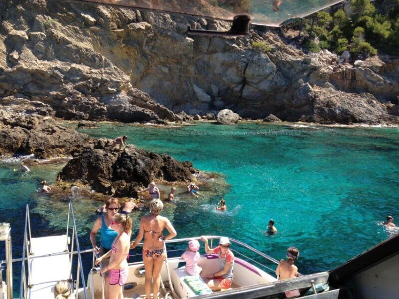 From Palma: 3-Hour Morning Dolphin Watching Boat Tour - Itinerary Breakdown and What to Expect