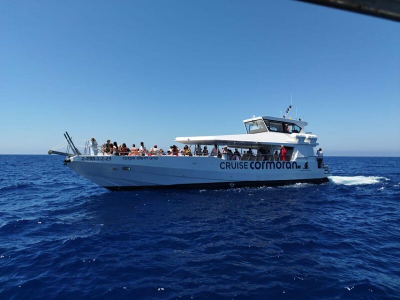 From Palma: 3-Hour Morning Dolphin Watching Boat Tour - Reviews in Context: What Real Travelers Say