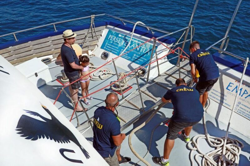 From Palma: 3-Hour Morning Dolphin Watching Boat Tour - FAQ