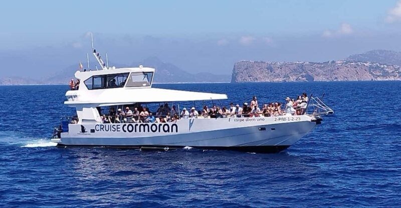 From Palma: Afternoon Dolphin-Watching Boat Tour - Key Points