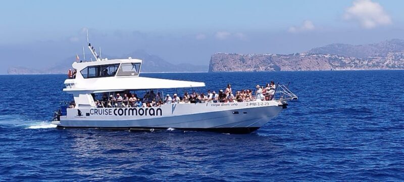 From Palma: Afternoon Dolphin-Watching Boat Tour - An In-Depth Look at the Experience