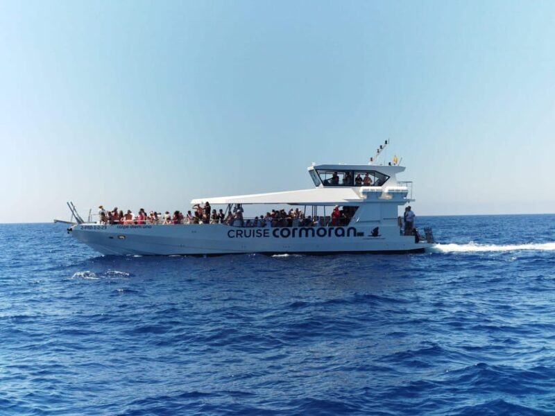From Palma: Afternoon Dolphin-Watching Boat Tour - The Realistically Expectant Traveler