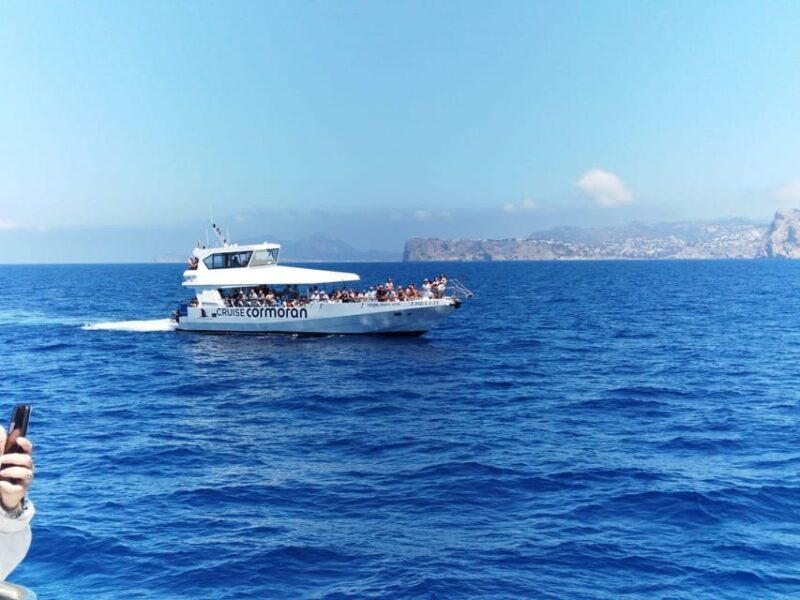 From Palma: Afternoon Dolphin-Watching Boat Tour - Frequently Asked Questions