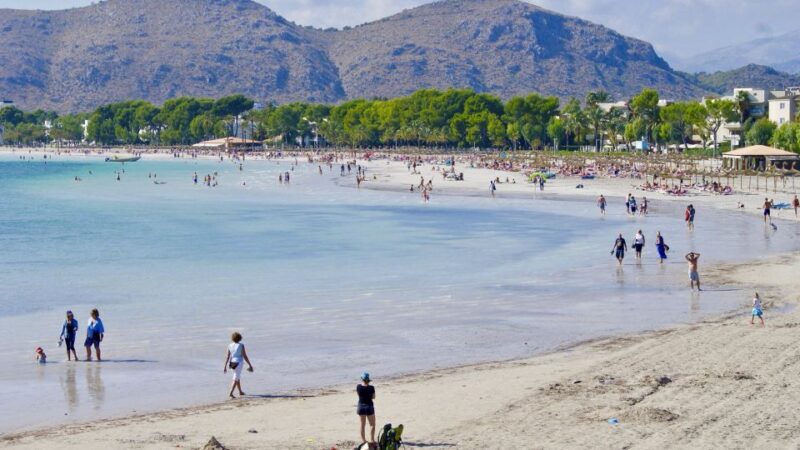 From Palma: Alcudia Town and Port de Pollença Guided Tour - The Value of the Experience