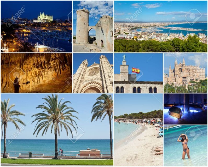 From Palma: Alcudia Town and Port de Pollença Guided Tour - Transport and Logistics