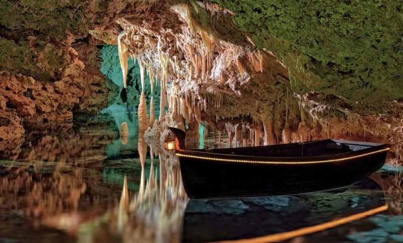 From Palma de Mallorca: Dinosaurland tour - Final Thoughts