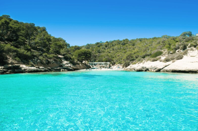 From Palma: Portal Vells Beach and Cave SUP & Snorkel Tour - Key Points