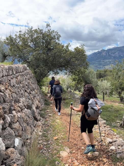 From Palma: Sierra de Tramuntana Hiking with small Picnic - A Deep Dive into the Mallorca Sierra de Tramuntana Hike