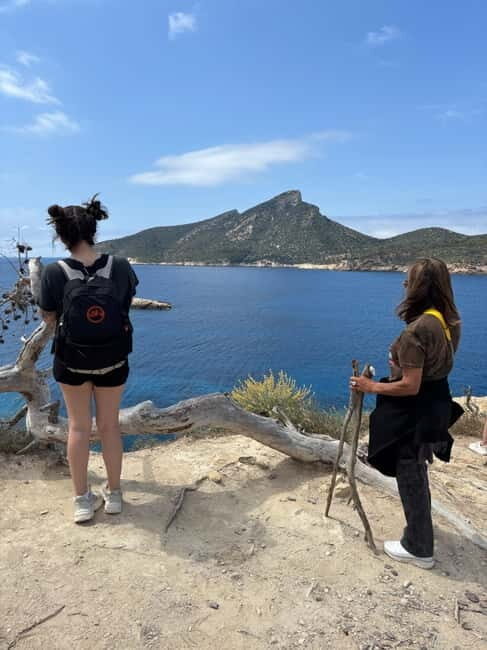 From Palma: Sierra de Tramuntana Hiking with small Picnic - Who Should Consider This Tour?