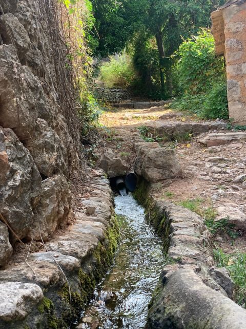 From Palma: Soller valley walk and picnic in orange farm - Key Points