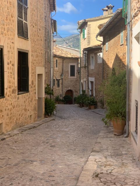 From Palma: Soller valley walk and picnic in orange farm - The Sum Up