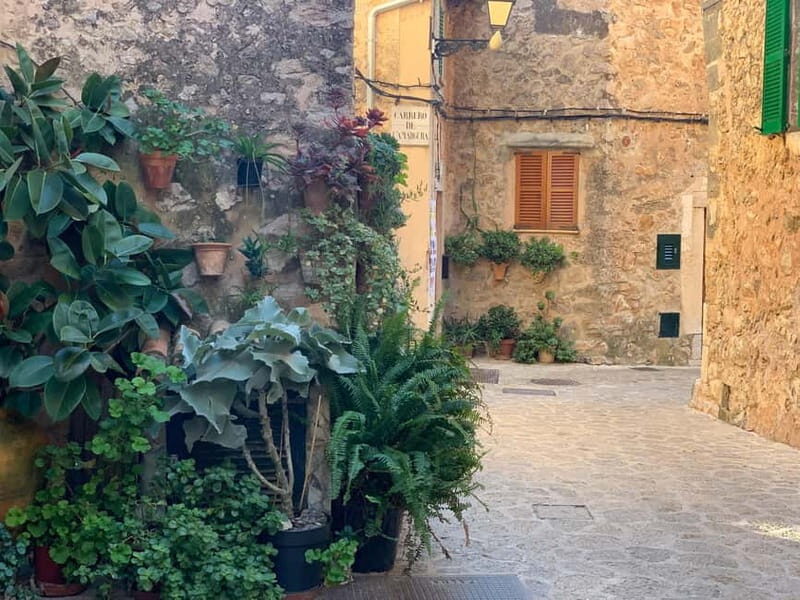 From Palma: Valldemossa Tour and Mountain Viewpoint Hike - The Details You Need to Know