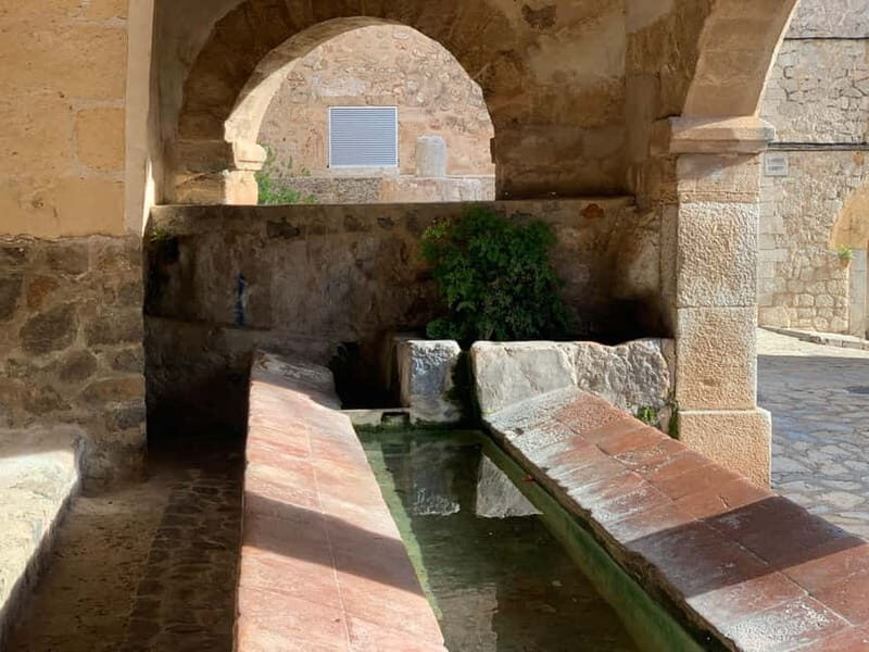 From Palma: Valldemossa Tour and Mountain Viewpoint Hike - Authentic Testimonials & What Travelers Say