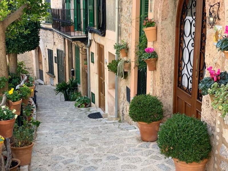 From Palma: Valldemossa Tour and Mountain Viewpoint Hike - Who Should Consider This Tour?