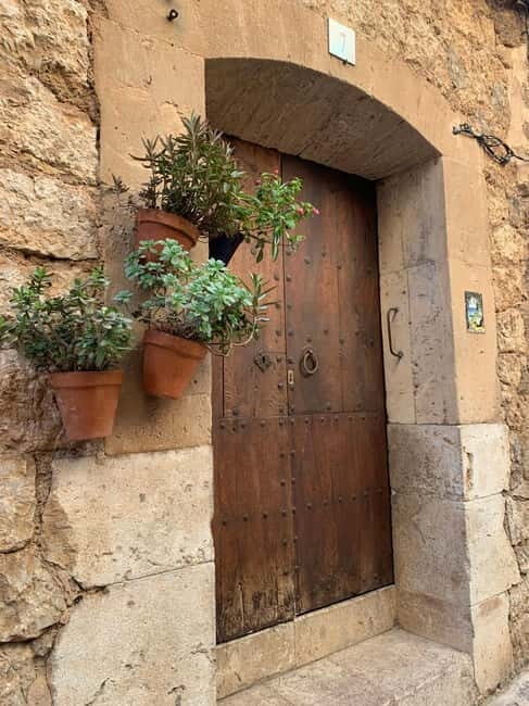 From Palma: Valldemossa Tour and Mountain Viewpoint Hike - Final Thoughts