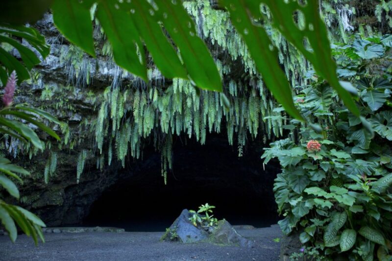 From Papeete: Tahiti Highlights Full-Day Private Tour - Lunch Break with a View