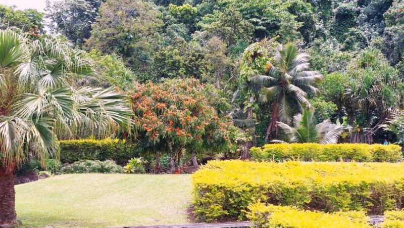 From Papeete: Tahiti Highlights Full-Day Private Tour - Exploring the Papeete: Tahiti Highlights Full-Day Private Tour