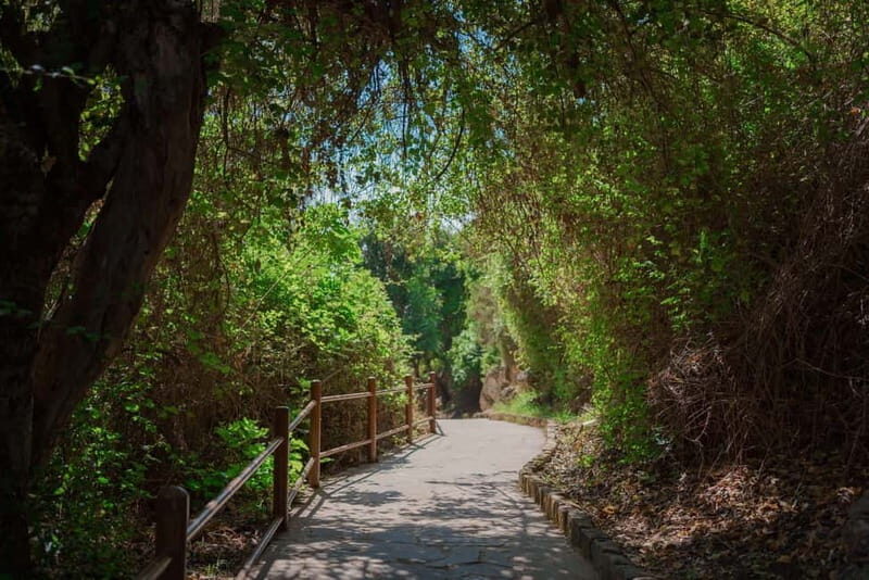 From Paphos: Blue Lagoon and Baths of Aphrodite Day Trip - Key Points
