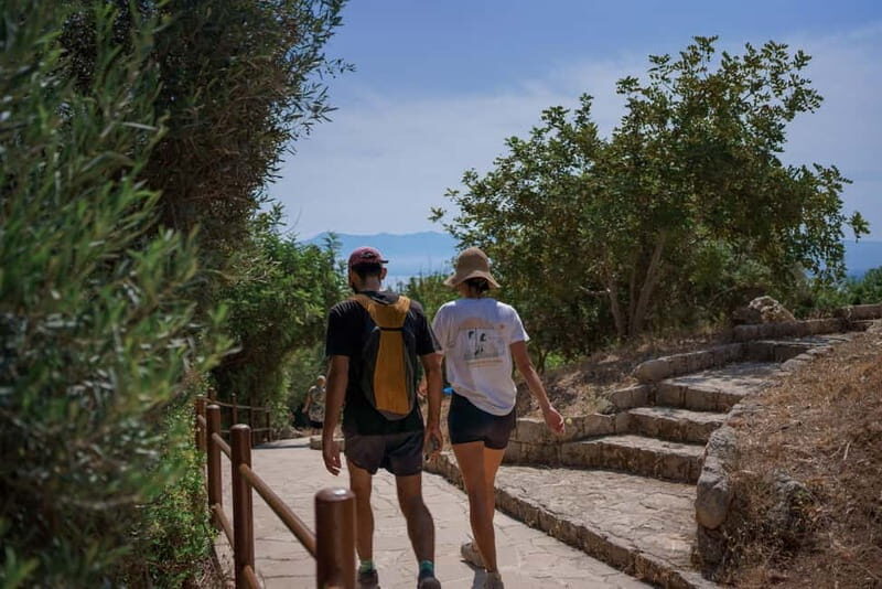 From Paphos: Blue Lagoon and Baths of Aphrodite Day Trip - Akamas National Park: Scenic Drive and Wildlife