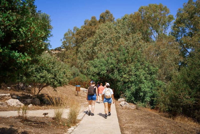 From Paphos: Blue Lagoon and Baths of Aphrodite Day Trip - Value and Price Consideration