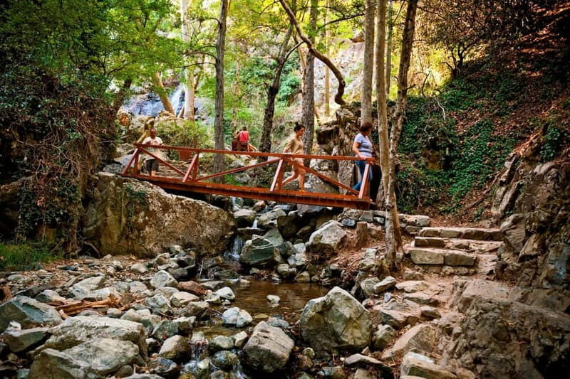 From Paphos: Caledonia Waterfalls Walking Tour with Lunch - The Practical Side: What to Expect