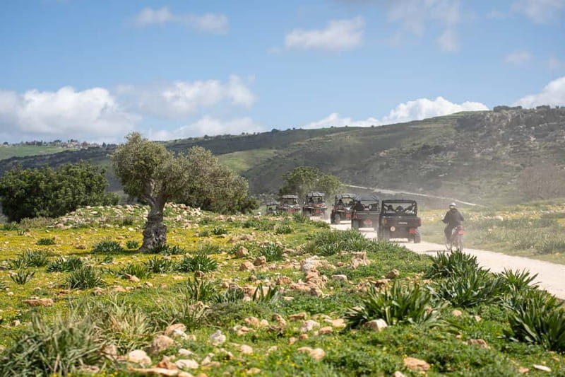 From Paphos: Coral Bay and Adonis Baths Guided Buggy Tour - Nature Walks, Scenic Trails, and Legends
