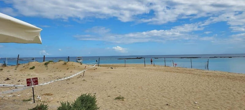 From Paphos: Famagusta, Salamis, and Varosha Walking Tour - Key Points