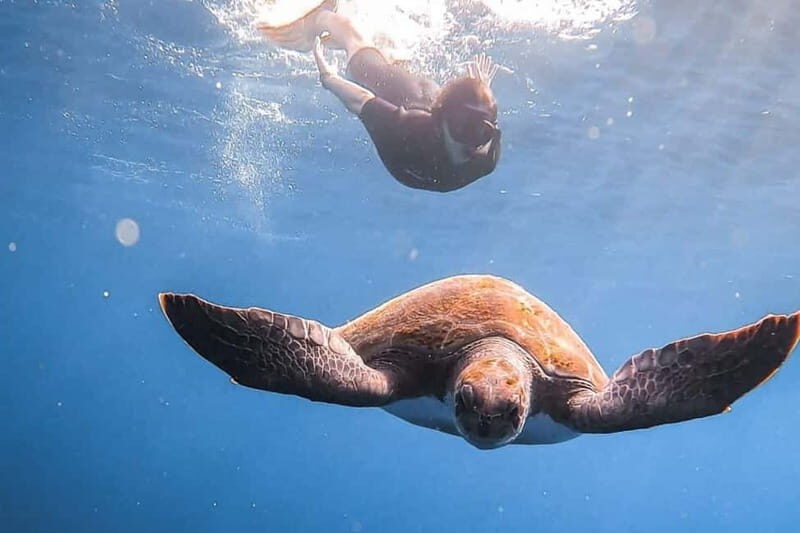 FROM PAPHOS: Snorkeling at the Marine Park (shore) - Exploring the Marine Park: What You Can Expect