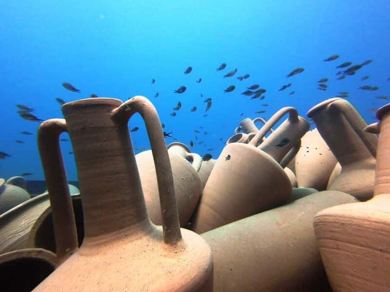 FROM PAPHOS: Snorkeling at the Marine Park (shore) - The Highlights: Why It Stands Out
