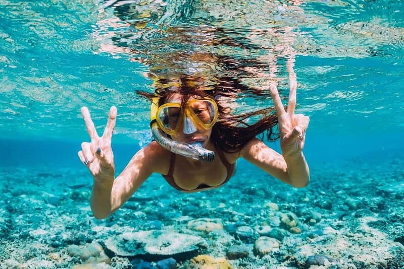 FROM PAPHOS: Snorkeling at the Marine Park (shore) - Analyzing the Value: Is It Worth It?