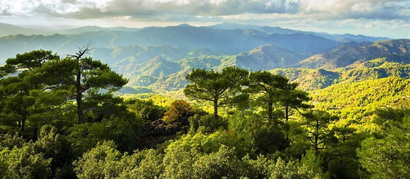 From Paphos: Troodos Kykkos Jeep Safari - Final Thoughts: Who Is This Tour For?
