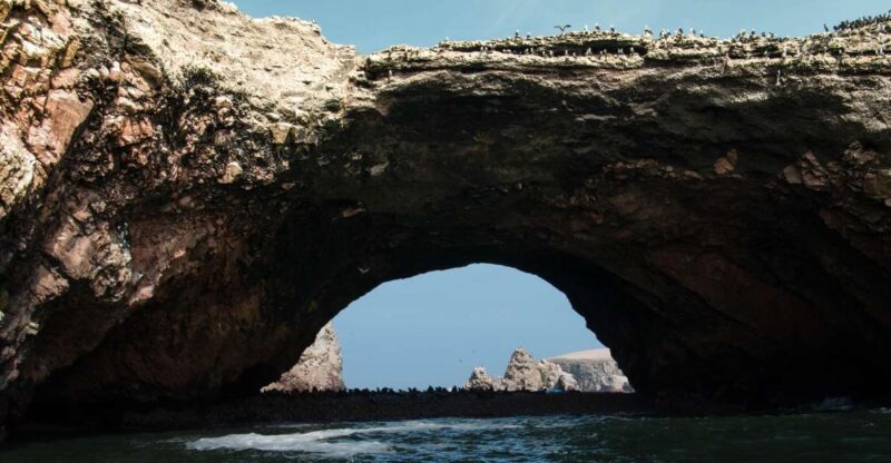 From Paracas: Ballestas Islands tour all Inclusive - What to Expect from the Experience