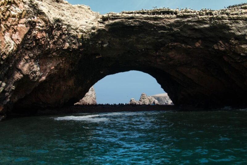 From Paracas: Ballestas Islands tour all Inclusive - What Travelers Say About Their Experience