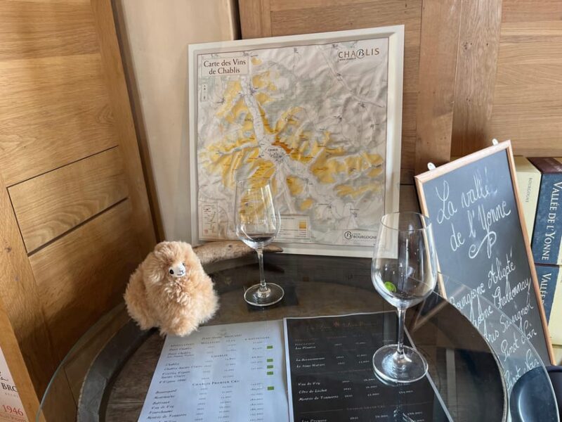 From Paris: Burgundy Chablis Wine & Cheese Tasting Day Trip - Who Should Consider This Tour?