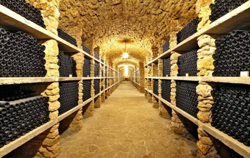 From Paris: Burgundy Region Winery Tour with Tastings - Comparing with Similar Experiences