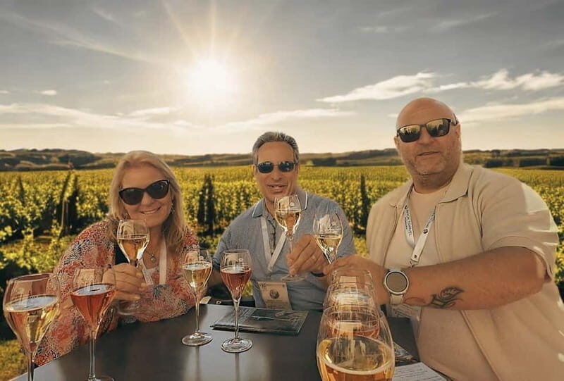 From Paris: Champagne Cellars and Vineyards Tour and Tasting - Who Would Enjoy This Tour?