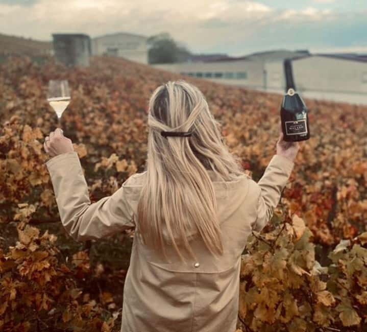 From Paris: Champagne Day Trip with 7 Tastings and Lunch - FAQ