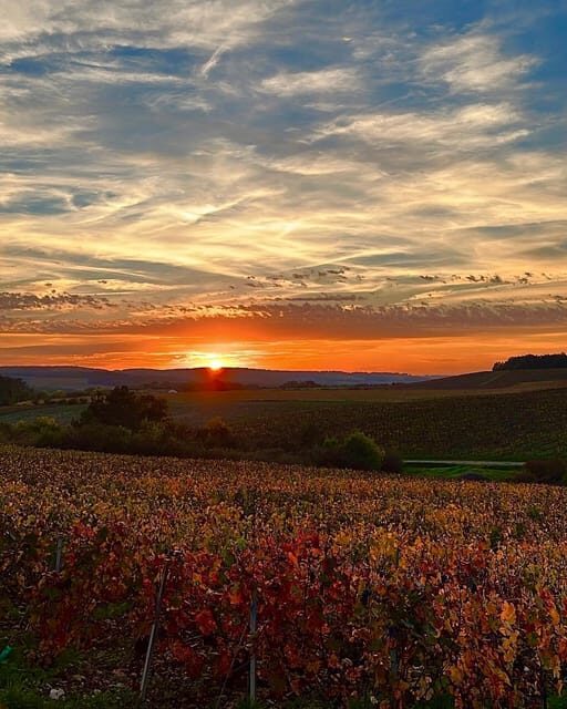 From Paris: Champagne, gastronomy and culture - The Value of This Tour