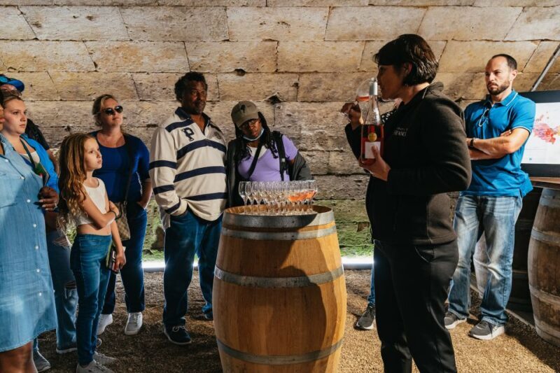 From Paris: Loire Valley Castles Day Trip With Wine Tasting - Discovering the Castles of the Loire from Paris