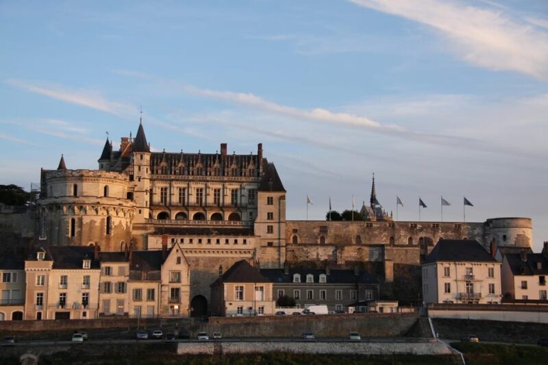 From Paris: Loire Valley Castles & Orleans Guided Tour - Comfort, Convenience, and Flexibility