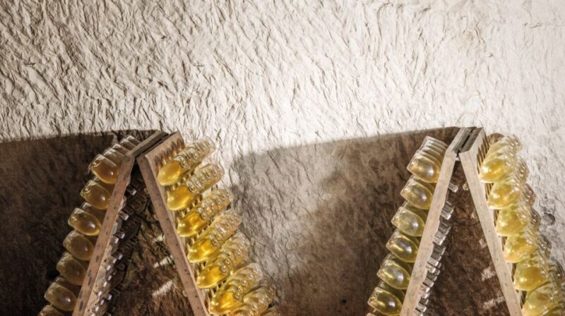 From Paris: Prestige Champagne Tour and Tastings - Introduction: An Authentic Dive into the Champagne Region