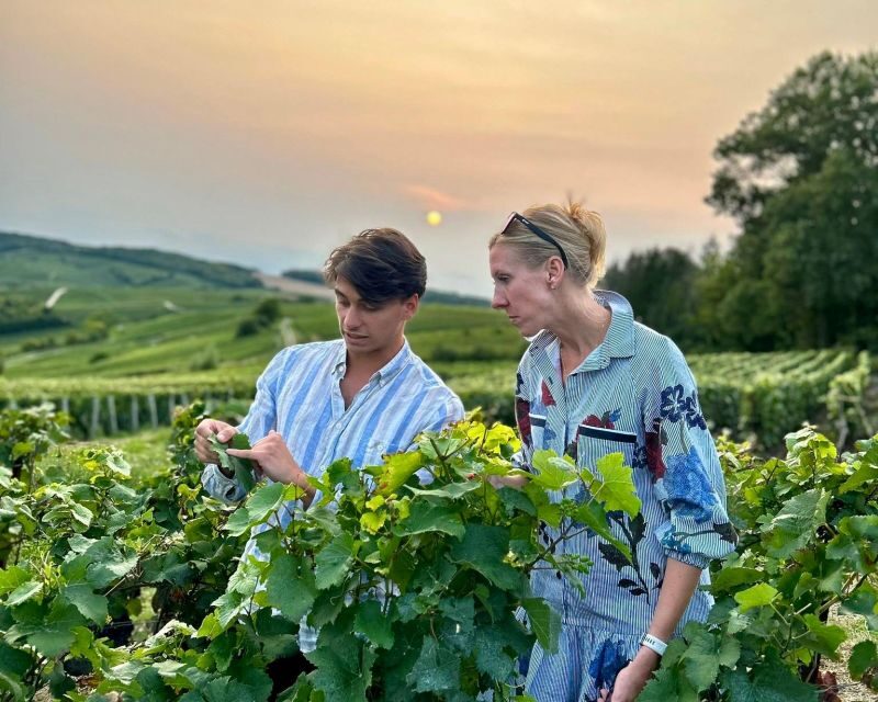 From Paris: Prestige Champagne Tour and Tastings - The Practical Side: What You Should Know