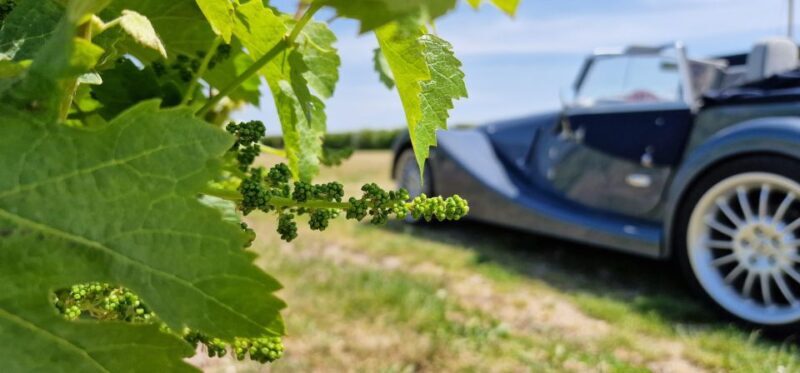 From Paris: Prestige Champagne Tour and Tastings - Authentic Perspectives from Travelers