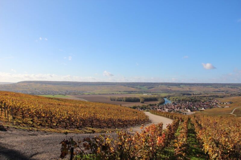 From Paris: Prestige Champagne Tour and Tastings - The Sum Up: Is It Worth It?