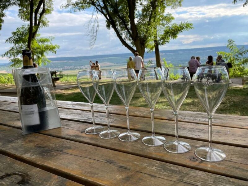 From Paris: Reims and Champagne Tasting Full-Day Tour - An In-Depth Look at the Experience