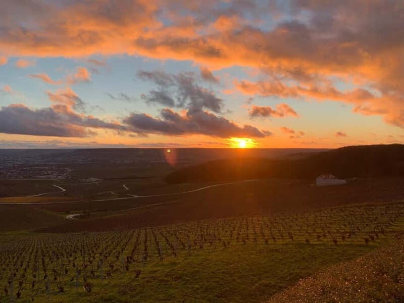 From Paris: Reims Cathedral, Champagne Cellar, and Tasting - An In-Depth Look at the Tour Experience