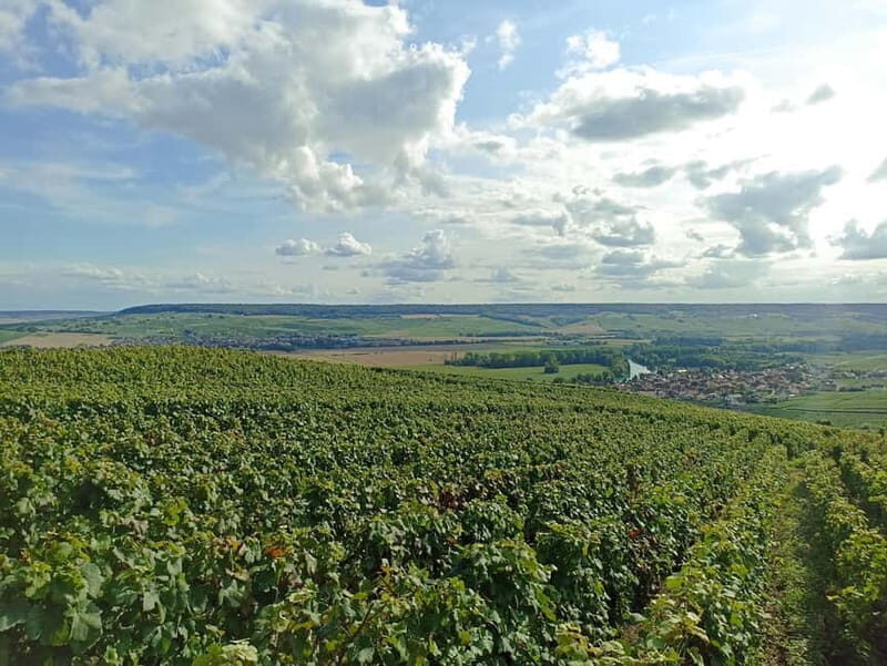 From Paris: Reims Cathedral, Champagne Cellar, and Tasting - Who Will Love This Tour?